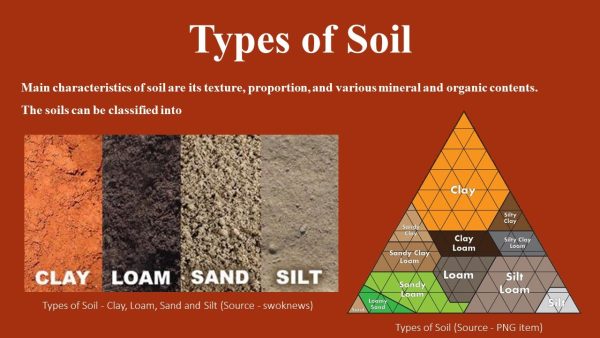 sandy-loam-soil
